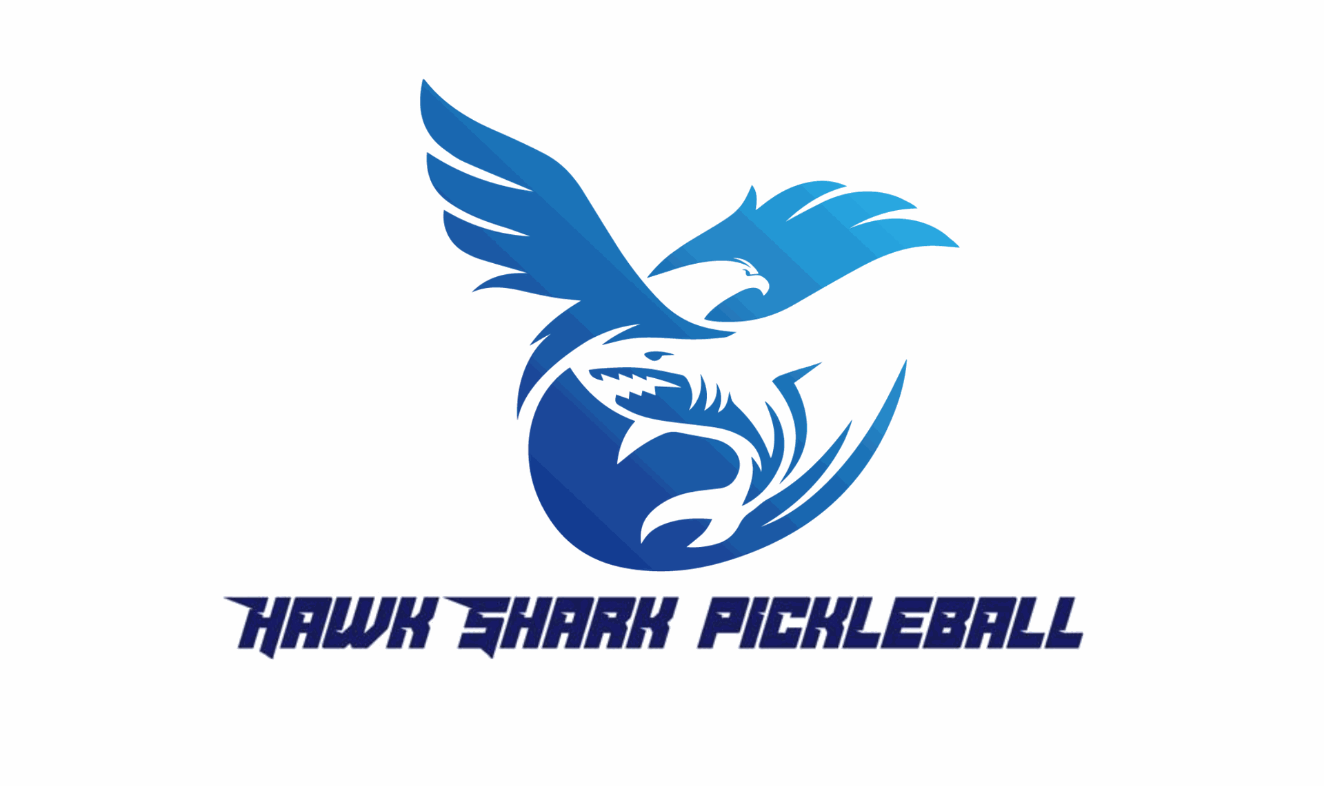 Book Your Session | Hawk Shark Pickleball